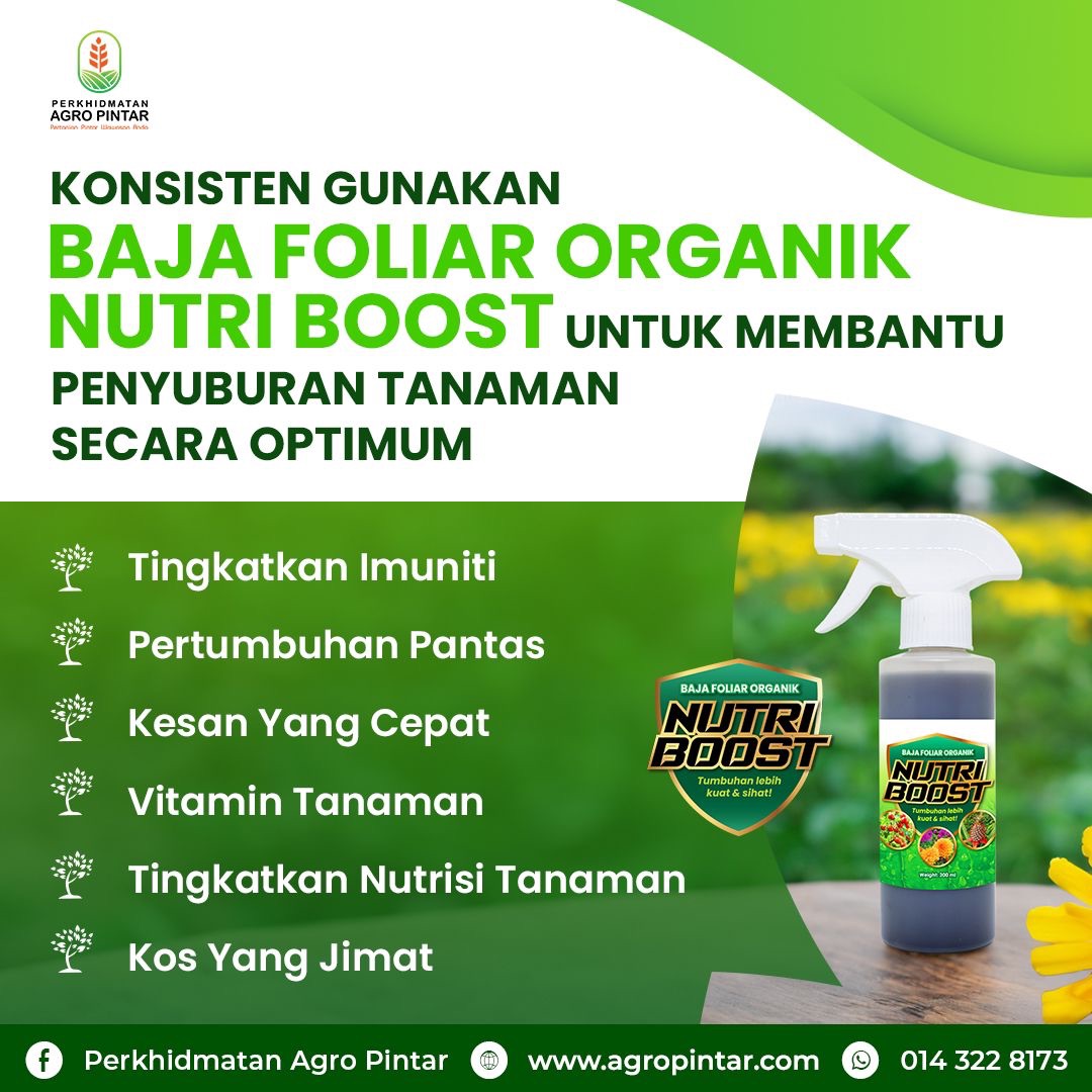 NutriBoost: Baja Foliar Organik Terbaik untuk Tumbuhan Anda ...