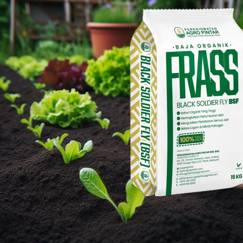 Elak Tanah Padat Selepas Banjir: Tips & Produk Mesra Alam ...